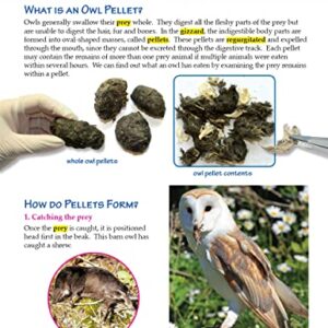 NewPath Learning-14-6715 Owls and Owl Pellet Dissection Resource Guide - Self-Directed Readings, Illustrated Explanations