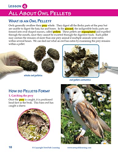 NewPath Learning-14-6715 Owls and Owl Pellet Dissection Resource Guide - Self-Directed Readings, Illustrated Explanations