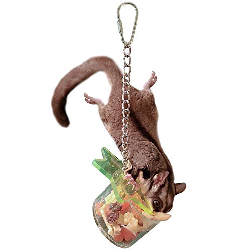 Star Forage Cup - Durable Treat Foraging Cage Accessory Toy - for Sugar Gliders, Squirrels, Chinchillas, Prairie Dogs, Degus, Opossums, Marmosets, Monkeys, Parrots, Birds, Rats, Hamsters, & Gerbils