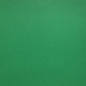 Green Cardstock Paper - 12 x 12 inch - 65 lb. - 25 Sheets 100% Recycled Cover from Cardstock Warehouse