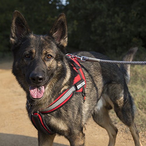 Head Tilt Service Dog Harness, Large, Red