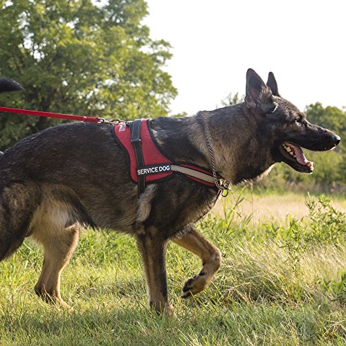 Head Tilt Service Dog Harness, Large, Red