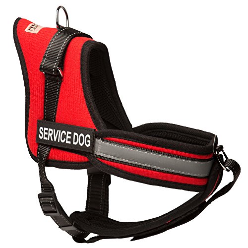 Head Tilt Service Dog Harness, Large, Red