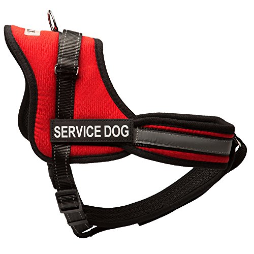 Head Tilt Service Dog Harness, Large, Red