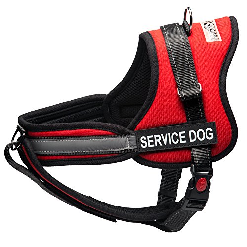 Head Tilt Service Dog Harness, Large, Red