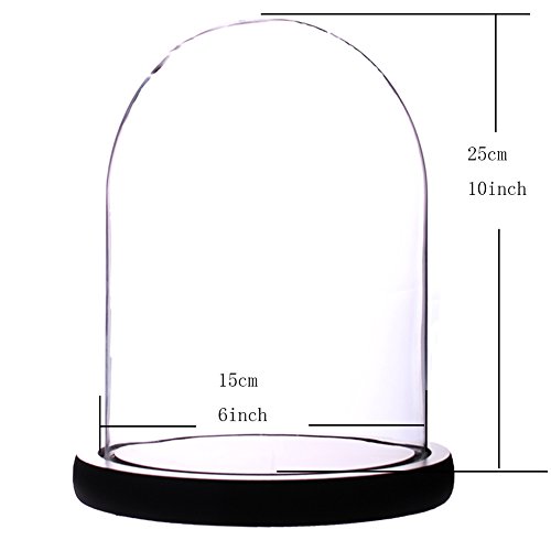 Glass Cloche Bell Jar Display Dome with Black Wooden Base Dia 6" x H 10"