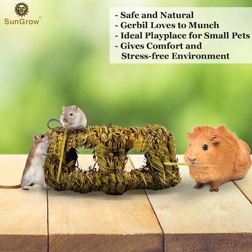 SunGrow Hamster, Gerbil, Leopard Gecko, Hermit Crab Handwoven Seagrass Tunnel Toy, Small Animal Activity Center