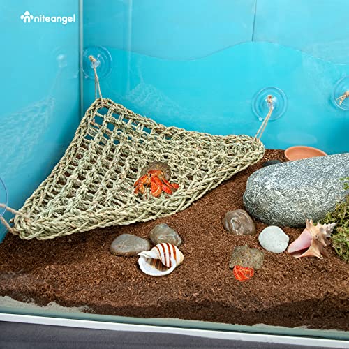 Niteangel Bearded Dragon Hammock Reptile Lounger for Chameleon, Lizards, Gecko, Snakes, Lguana Reptiles, Geckos (Triangle 17'' x 12.5'')