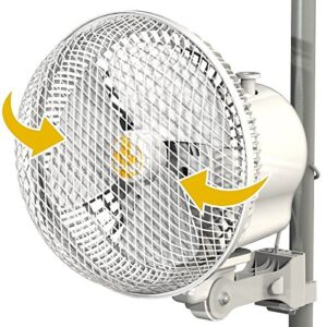 20w monkey fan oscillating