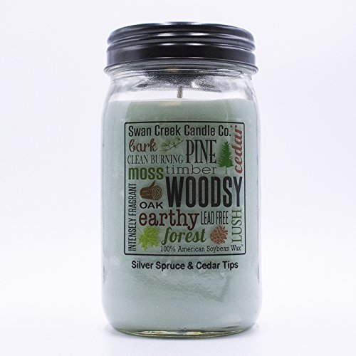 Swan Creek Silver Spruce & Cedar Tips 24 oz Kitchen Pantry Jar Candle