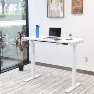 Motionwise Electric Standing Desk, 24”x48 Home Office Series, 28"-48" with Quickly Program up to 4 pre-Set Height adjustments and USB Charge Port, White Frame