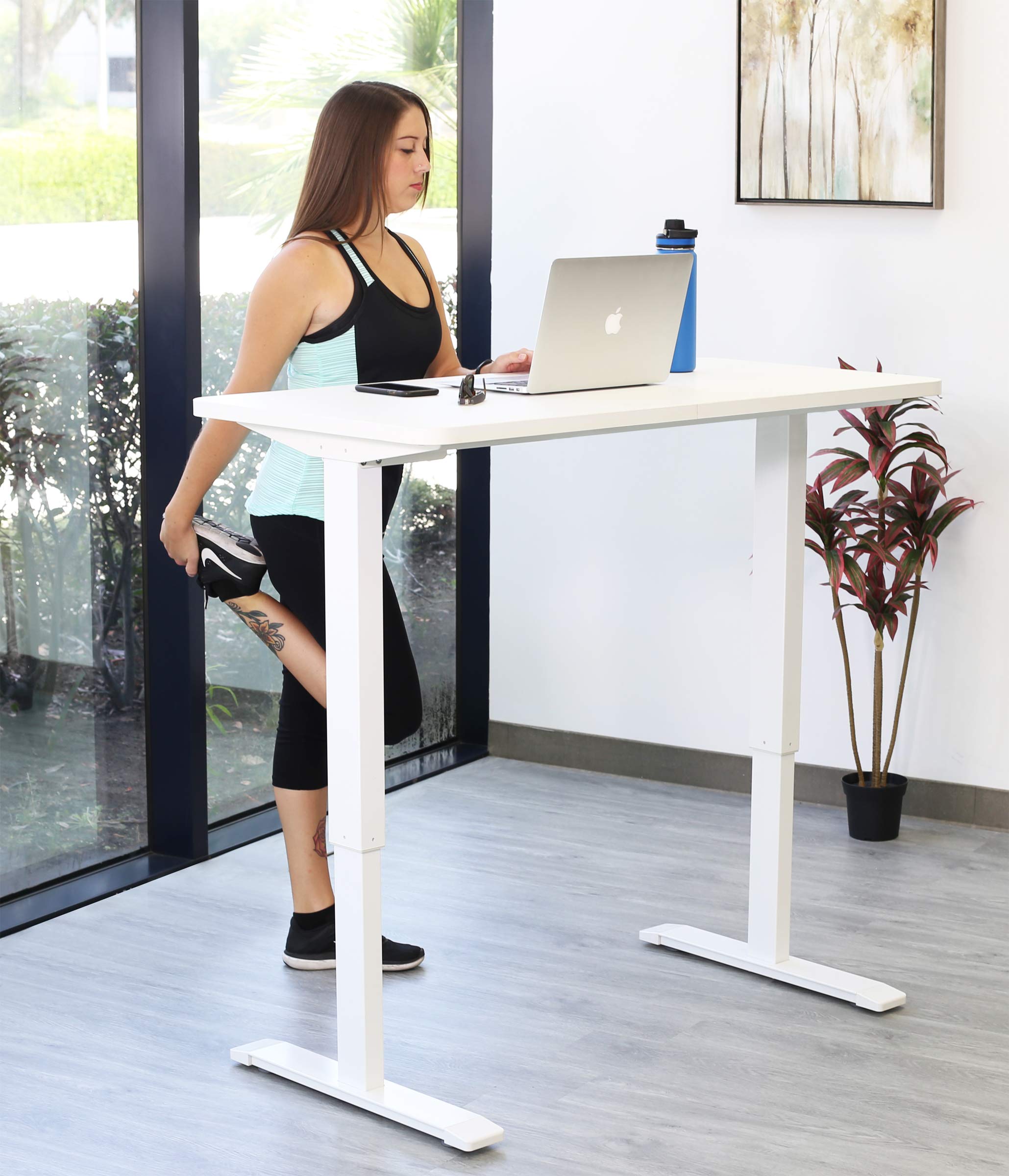 Motionwise Electric Standing Desk, 24”x48 Home Office Series, 28"-48" with Quickly Program up to 4 pre-Set Height adjustments and USB Charge Port, White Frame