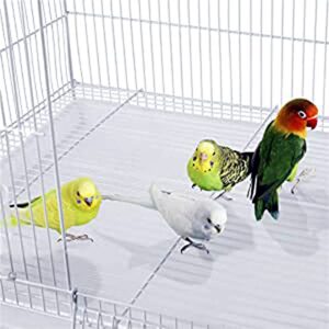 Case of 6 Aviary Canary Budgie Breeding Finch Parakeet Flight Bird Cage with Center Divider 24" x 16" x 16"H (White, with Center Divider)