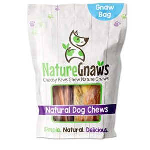 nature gnaws variety pack of dog chews and bully sticks - long lasting gnaw treats bag for puppies and active dogs - natural and rawhide free bones