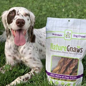 Nature Gnaws Variety Pack of Dog Chews and Bully Sticks - Long Lasting Gnaw Treats Bag for Puppies and Active Dogs - Natural and Rawhide Free Bones