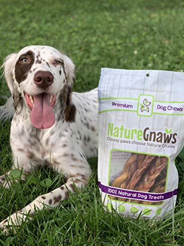 Nature Gnaws Variety Pack of Dog Chews and Bully Sticks - Long Lasting Gnaw Treats Bag for Puppies and Active Dogs - Natural and Rawhide Free Bones