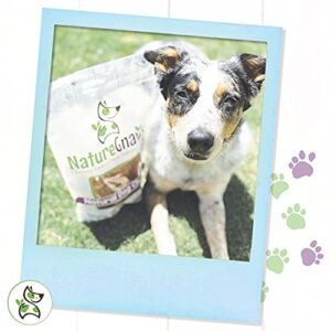 Nature Gnaws Variety Pack of Dog Chews and Bully Sticks - Long Lasting Gnaw Treats Bag for Puppies and Active Dogs - Natural and Rawhide Free Bones