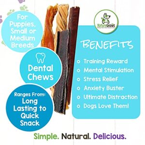 Nature Gnaws Variety Pack of Dog Chews and Bully Sticks - Long Lasting Gnaw Treats Bag for Puppies and Active Dogs - Natural and Rawhide Free Bones