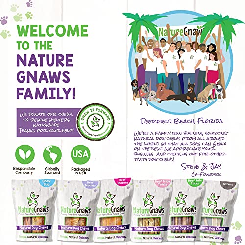 Nature Gnaws Variety Pack of Dog Chews and Bully Sticks - Long Lasting Gnaw Treats Bag for Puppies and Active Dogs - Natural and Rawhide Free Bones