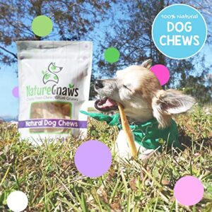 Nature Gnaws Variety Pack of Dog Chews and Bully Sticks - Long Lasting Gnaw Treats Bag for Puppies and Active Dogs - Natural and Rawhide Free Bones