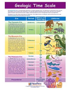 newpath learning-947122 geologic time scale visual learning guides, set/5-4-panel, 11" x 17" laminated guides, full-color graphic overview, write-on/wipe-off activities