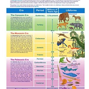 NewPath Learning-947122 Geologic Time Scale Visual Learning Guides, Set/5-4-Panel, 11" x 17" Laminated Guides, Full-Color Graphic Overview, Write-On/Wipe-Off Activities