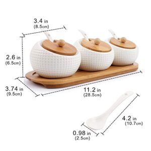 Porcelain Condiment Jar Spice Container with Lids - Bamboo Cap Holder Spot, Ceramic Serving Spoon, Wooden Tray - Best Pottery Cruet Pot for Your Home, Kitchen, Counter. White,170 ML (5.8 OZ), Set of 3