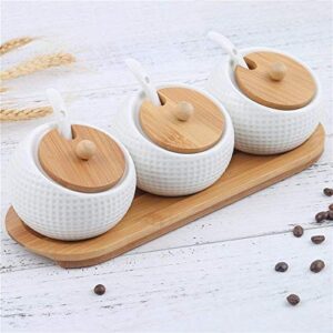 Porcelain Condiment Jar Spice Container with Lids - Bamboo Cap Holder Spot, Ceramic Serving Spoon, Wooden Tray - Best Pottery Cruet Pot for Your Home, Kitchen, Counter. White,170 ML (5.8 OZ), Set of 3