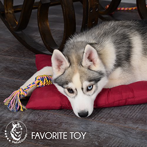 Dog Chew Toys - Puppy Teething Toys- Puppy Chew Toys - Rope Dog Toy - Puppy Toys - Small - Dog Toy Pack - Tug Toy - Dog Toy Set - Washable Cotton Rope for Dogs