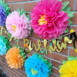 Mybbshower Fiesta Flower for Carnival Large 11" Set of 7 Rainbow Theme Party Birthday Celebration Backdrop Outdoor Decoration