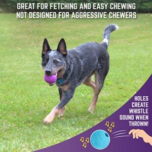 Chew King Fetch Balls Extremely Durable Natural Rubber Toy 3 inch Balls - Pack of 3 (CM-0263-CS01)