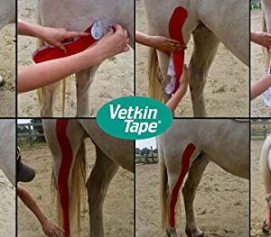 VETKIN VetkinTape® Veterinary Kinesiology Tape Blue | Kinesiology Tape for Horses & Dogs | Equine & Canine Kinesiotape | Latex Free and TÜV Quality Mark Certified Ktape | 4 inch | Pack of 1 Roll