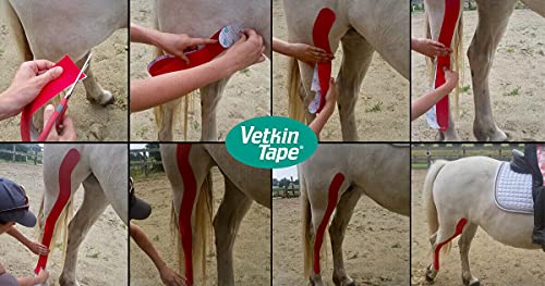 VETKIN VetkinTape® Veterinary Kinesiology Tape Blue | Kinesiology Tape for Horses & Dogs | Equine & Canine Kinesiotape | Latex Free and TÜV Quality Mark Certified Ktape | 4 inch | Pack of 1 Roll