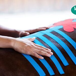 VETKIN VetkinTape® Veterinary Kinesiology Tape Blue | Kinesiology Tape for Horses & Dogs | Equine & Canine Kinesiotape | Latex Free and TÜV Quality Mark Certified Ktape | 4 inch | Pack of 1 Roll