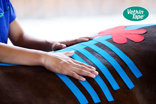 VETKIN VetkinTape® Veterinary Kinesiology Tape Blue | Kinesiology Tape for Horses & Dogs | Equine & Canine Kinesiotape | Latex Free and TÜV Quality Mark Certified Ktape | 4 inch | Pack of 1 Roll