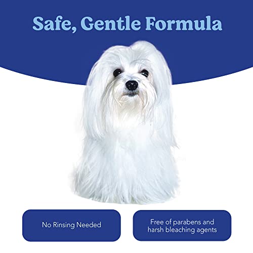 Angels’ Eyes Gentle Tear Stain Solution for Dogs and Cats | 8 oz Solution for Eye Area and Face | Remove Discharge, Dirt, Tear Stains, and Mucus