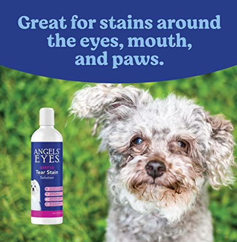 Angels’ Eyes Gentle Tear Stain Solution for Dogs and Cats | 8 oz Solution for Eye Area and Face | Remove Discharge, Dirt, Tear Stains, and Mucus