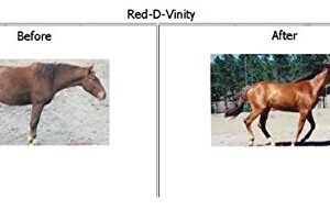 RED-D-VINITY Horse Coat Enhancing Supplement For Chestnuts, Sorrels, roans, Some Pintos, and Other Reds! 4lbs