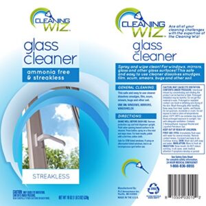 Cleaning Wiz Glass Cleaner, 19 Fluid Ounce (Pack of 4)