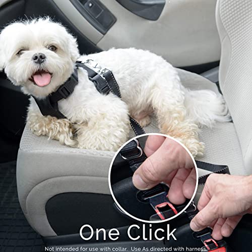 Dog Seat Belt Pet Dog Cat Car Seatbelt Safety Tether - 2 Pack - Adjustable Harness Belts Pet Leash - Heavy Duty Nylon Seatbelts - Universal Fit Cars Truck SUV