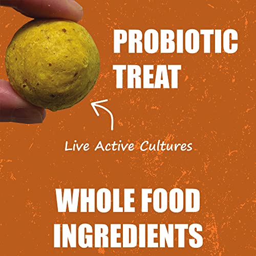 Whole Life Pet Human Grade Probiotic Dog Treats - Pumpkin & Yogurt – Easy Digestion, Firmer Stool, Sensitive Stomachs - Made in The USA