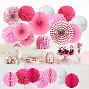 Cocodeko Hanging Set, Tissue Paper Poms Flower Fan and Honeycomb Balls for Birthday Baby Shower Wedding Festival Decorations-Pink, 3 Gram