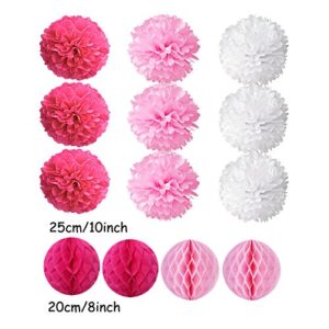 Cocodeko Hanging Set, Tissue Paper Poms Flower Fan and Honeycomb Balls for Birthday Baby Shower Wedding Festival Decorations-Pink, 3 Gram