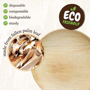 brheez Palm Leaf Plates 25 Ct (12 Inch) - Eco Friendly, Compostable & Biodegradable - Elegant Bamboo Look Disposable Party Plates are Heavy Duty and More Environmentally Friendly than Paper Plates