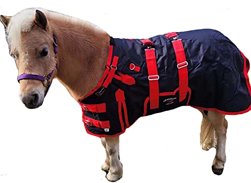 CHALLENGER 56" 1200D Miniature Weanling Donkey Pony Horse Foal Winter Blanket Red BLK 51946