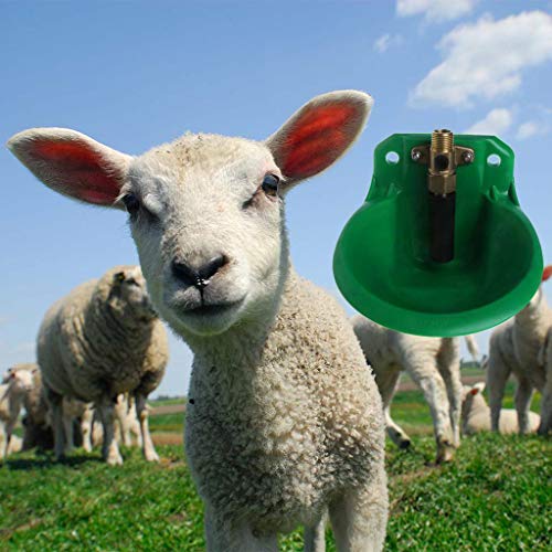 Yougoo Automatic Waterer Bowl Goats Waterer Sheep Drinking Water Bowl Livestock Drinker Bowl for Piglet Cattle Dog, Green