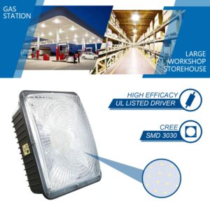 75W LED Canopy Light with UL Listed and DLC Certified,5000K,8625LM,300-350W HPS/HID Canopy Light Replacement,Waterproof and Outdoor Rated,Gas Station, Street, Area & Outdoor Lighting, 5 Year-Warranty.