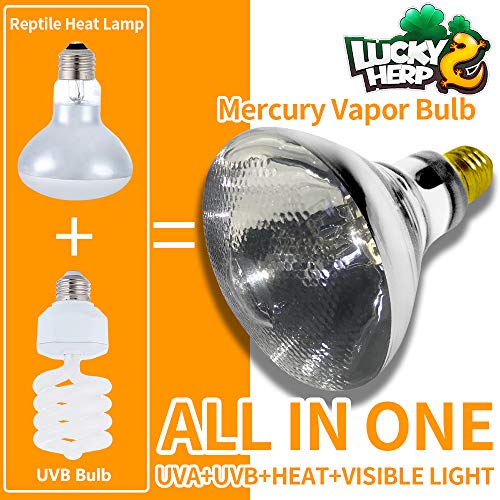 LUCKY HERP 100 Watt UVA+UVB Full Spectrum Vapor Heat Lamp Bulb, High Intensity Self-Ballasted Heat Basking Lamp/Bulb/Light for Reptile and Amphibian, Sun Lamp for Bearded Dragon Lizard Turtle(Clear)