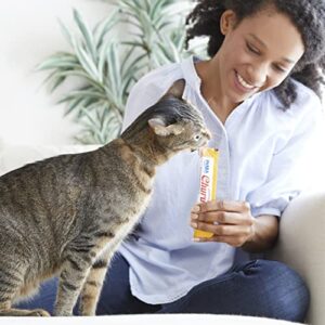 INABA Churu Lickable Purée Natural Cat Treats (Tuna with Chicken Recipe, 4 Tubes)