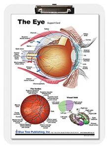 eye insert clipboard